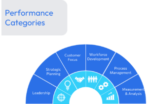 Organizational Assessments - FEA